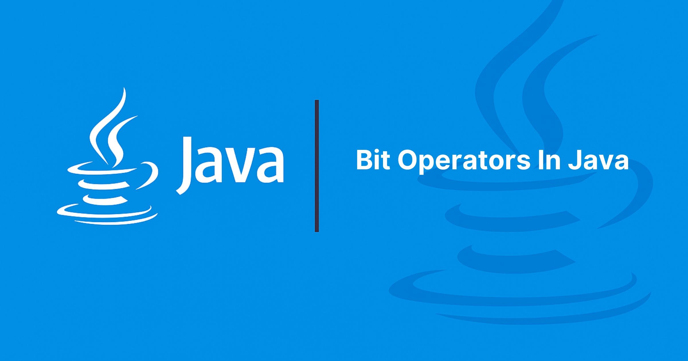 Bit Operators In Java